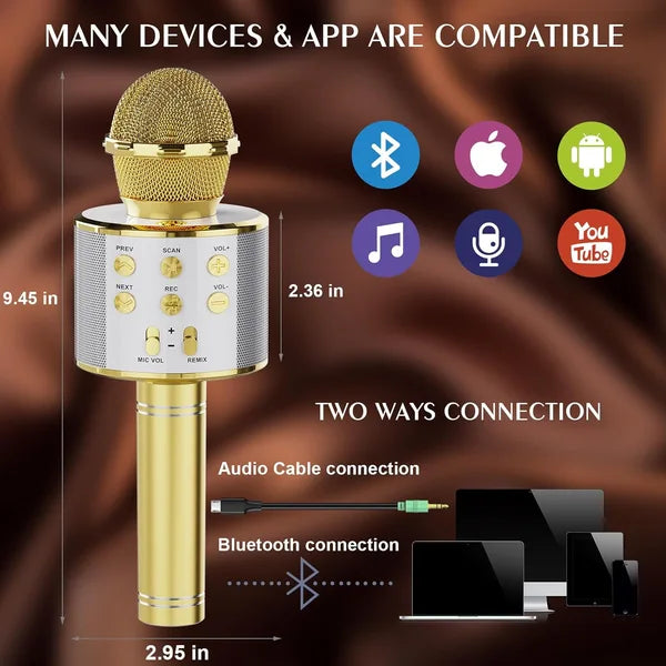 Wireless Singing Mike Multi-Function Bluetooth with Microphone ...